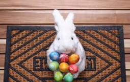 Easter Egg Tier List by Niamh Tier List Maker - TierLists.com