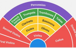 Orchestral instruments Tier List Maker - TierLists.com