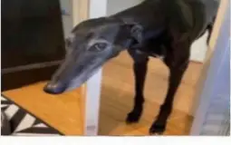 Fart Tier List Maker - TierLists.com