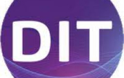 My DIT Class Tier List Maker - TierLists.com