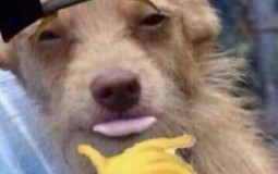 aklas Tier List Maker - TierLists.com