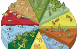 Tribe Game Characters~ Tier List Maker - TierLists.com