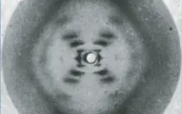 gg Tier List Maker - TierLists.com