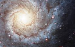 Galaxy Bracket Tier List Maker - TierLists.com