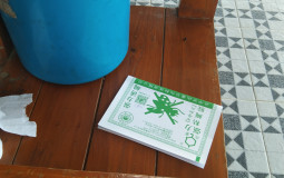 Normal template Tier List Maker - TierLists.com