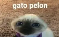 Unob Skins - RARZ:AUT Tier List Maker - TierLists.com