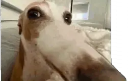 Squad IFVs Tier List Maker - TierLists.com