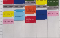 Gamma Tier List Maker - TierLists.com